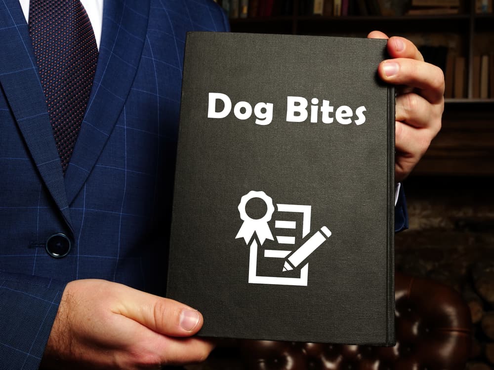 Dog Bite Liability Laws in Georgia